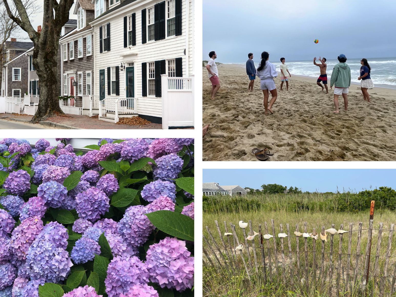 A Whale’s Tale: 30 Days On Nantucket – Stay Awhile Stories